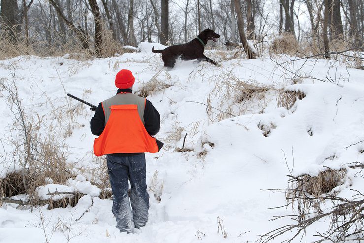 Avoid Common Hunting Injuries—Take a Safety Course